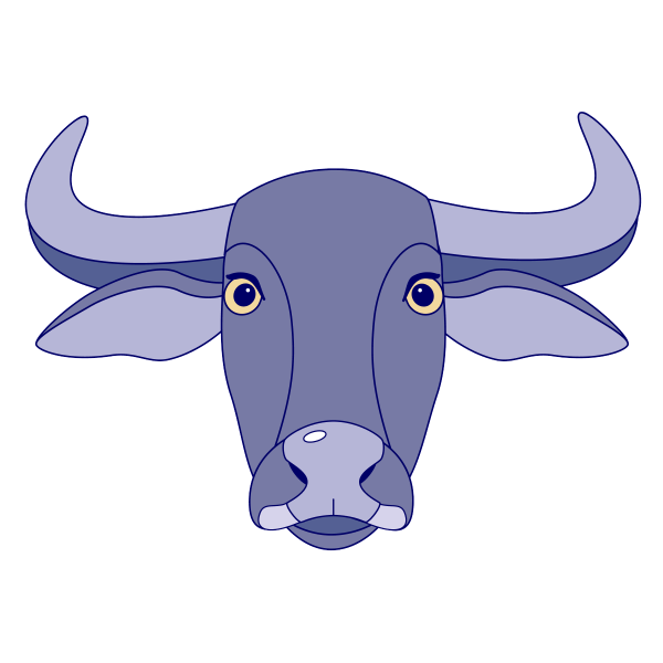 Sod | Digital agency | About us