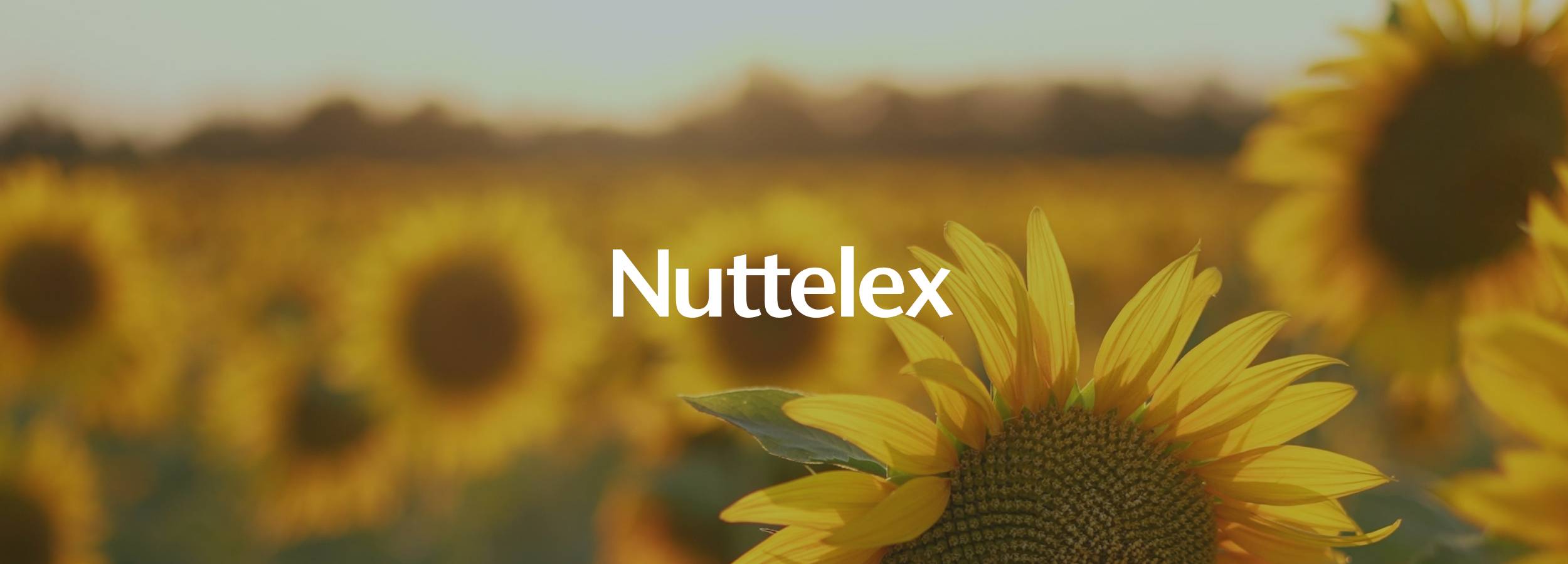 Sod and Nuttelex team up - Sod
